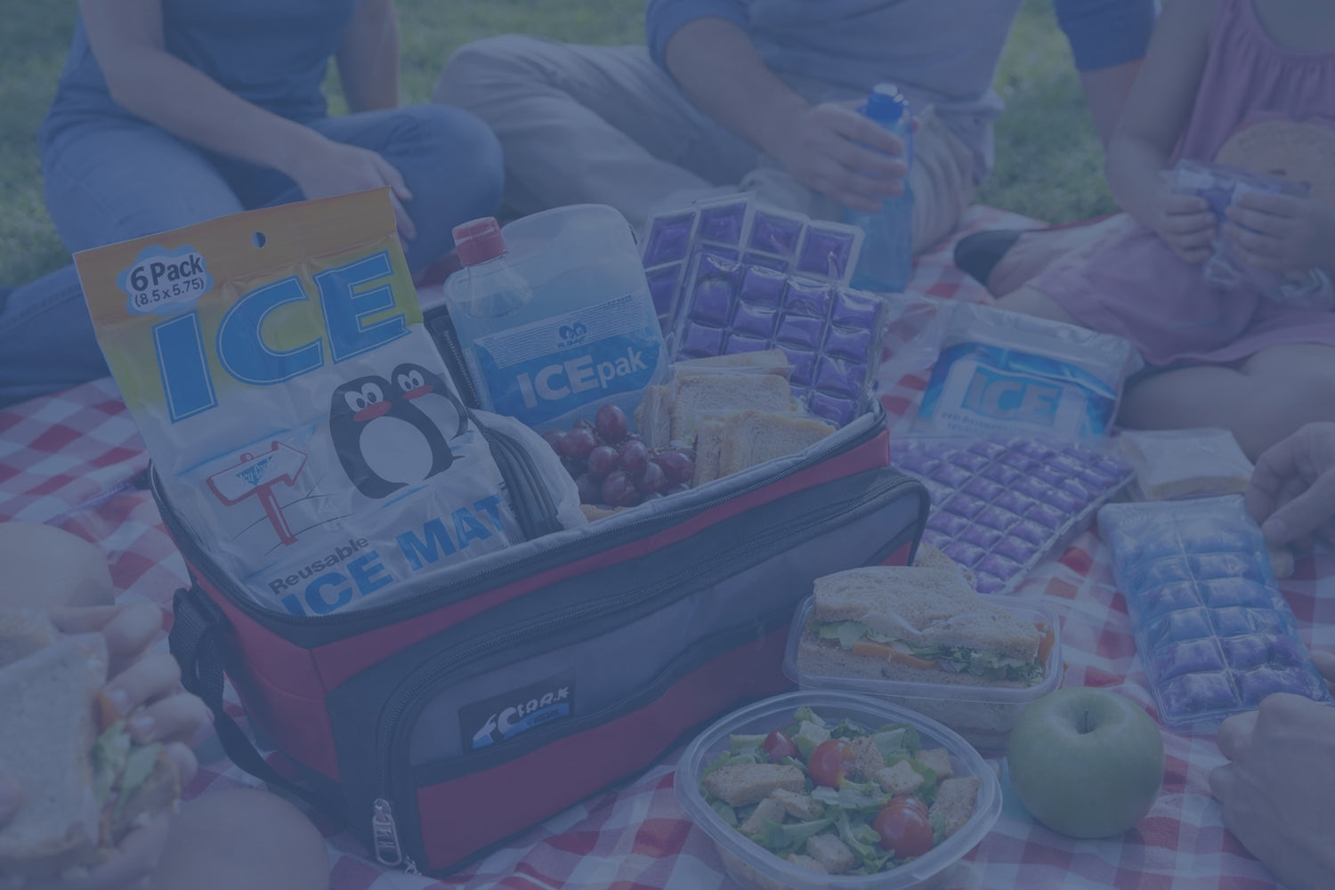 Reusable Ice Cubes, Ice Packs & Cooling Mats | Icy Cools by Cryopak